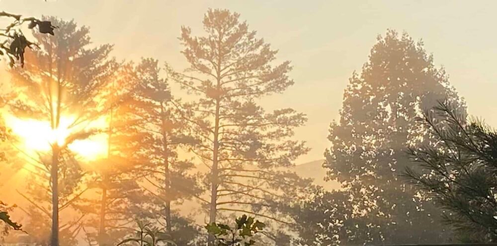 O glorious sun - Coffee House Writers